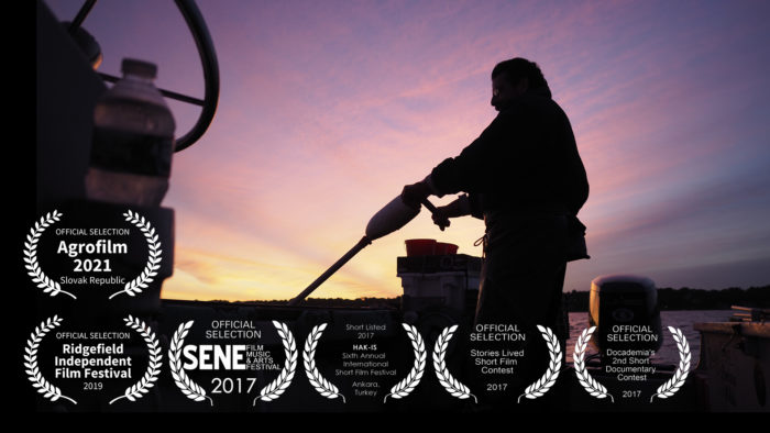 David Helfer Wells – New England based Visual Storyteller